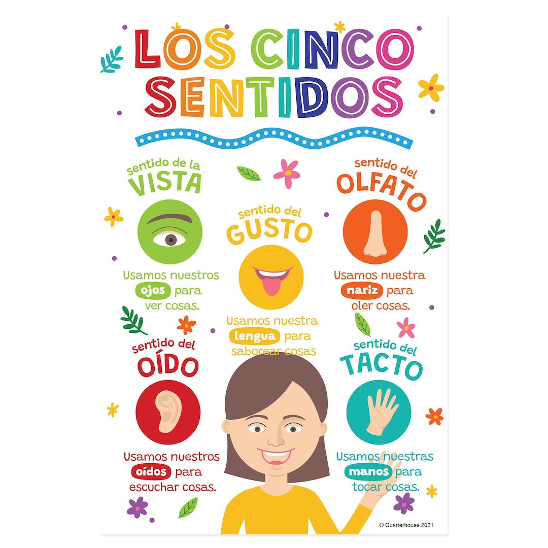 Quarterhouse Beginner Spanish - Five Senses Poster, Spanish and ESL ...