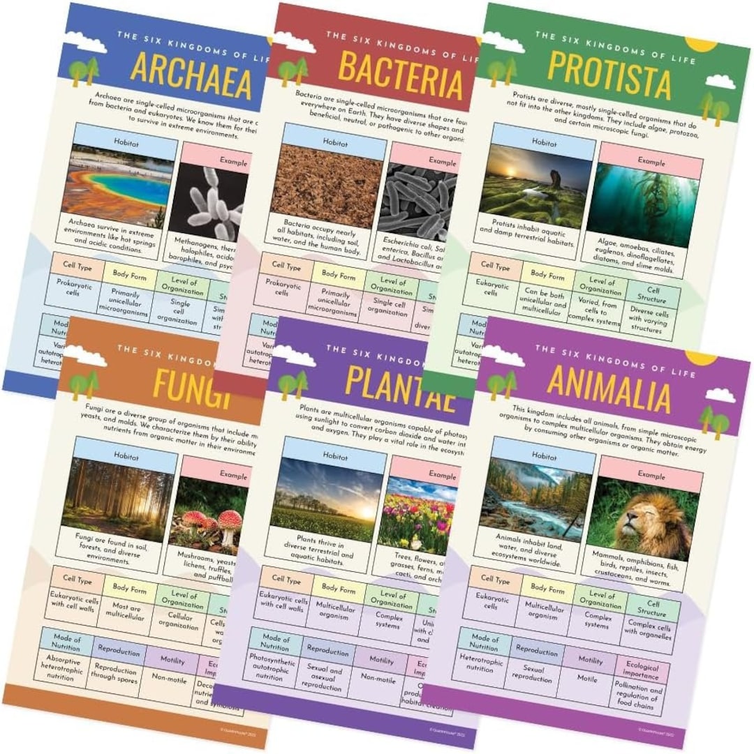 Quarterhouse Six Kingdoms of Biology Poster Set, Science Classroom ...