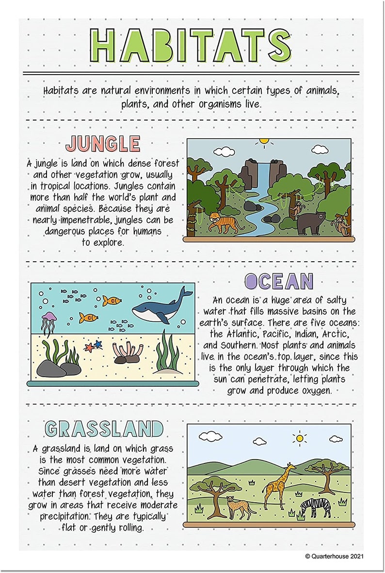 Quarterhouse Landforms and Habitats Geography Poster Set, Social ...