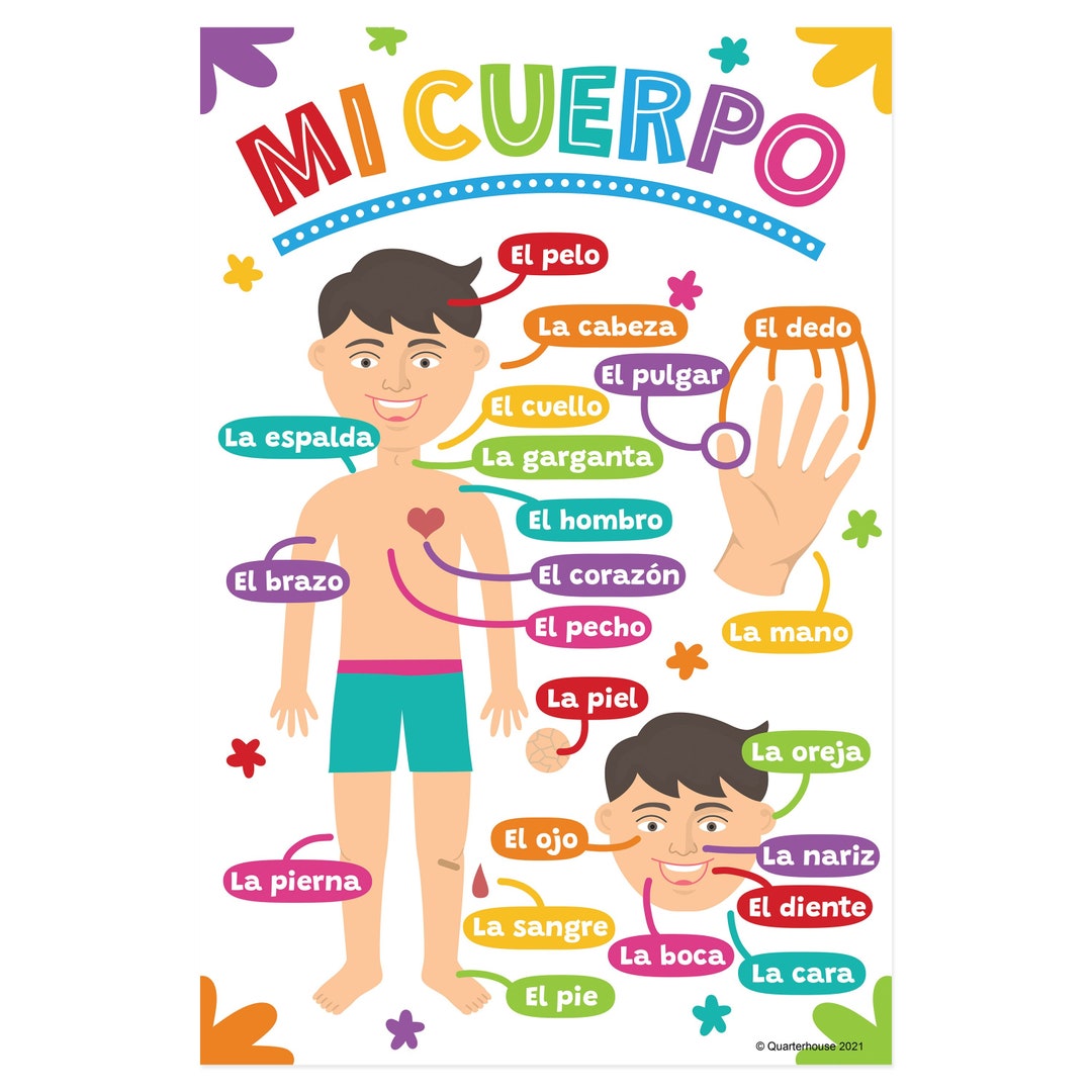 Quarterhouse Beginner Spanish - the Body Poster, Spanish and ESL ...