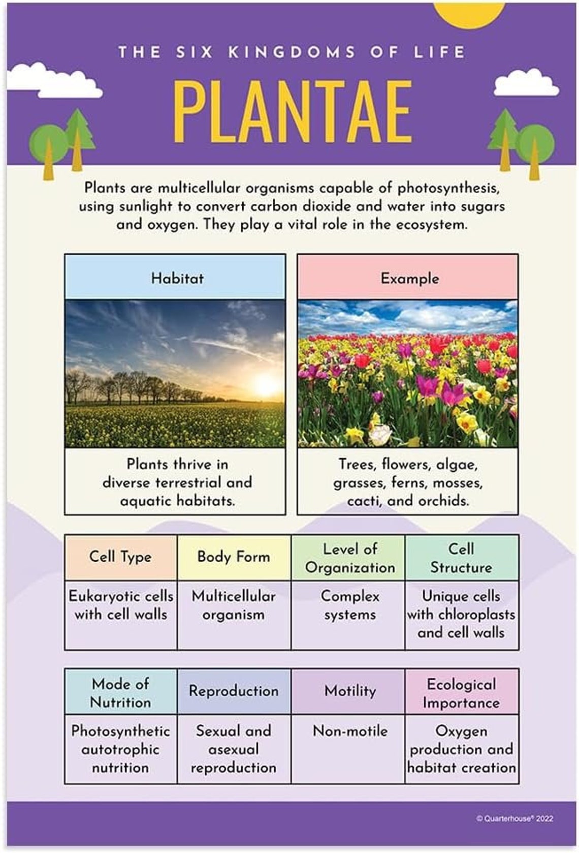 Quarterhouse Six Kingdoms of Biology Poster Set, Science Classroom ...