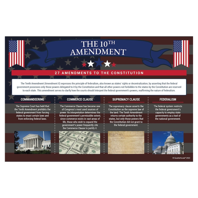 Quarterhouse Tenth Amendment to the Constitution Poster, Social Studies ...