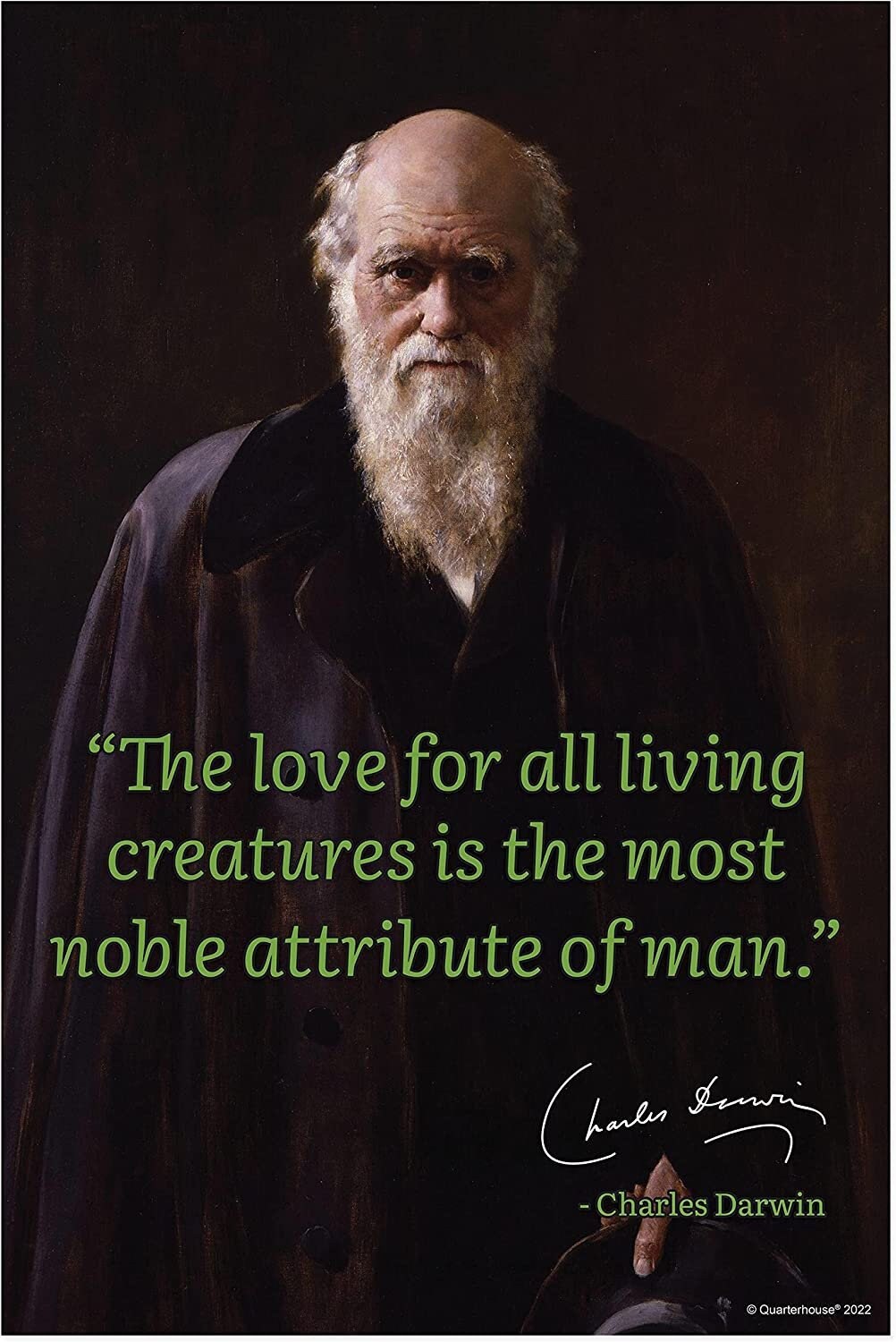 Quarterhouse Science Motivational Poster Set, Science Classroom ...