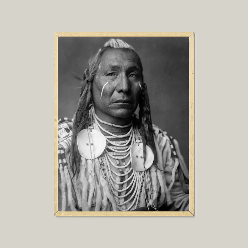 Native American Indian Chief Red Wing Apsaroke Profile Photograph ...