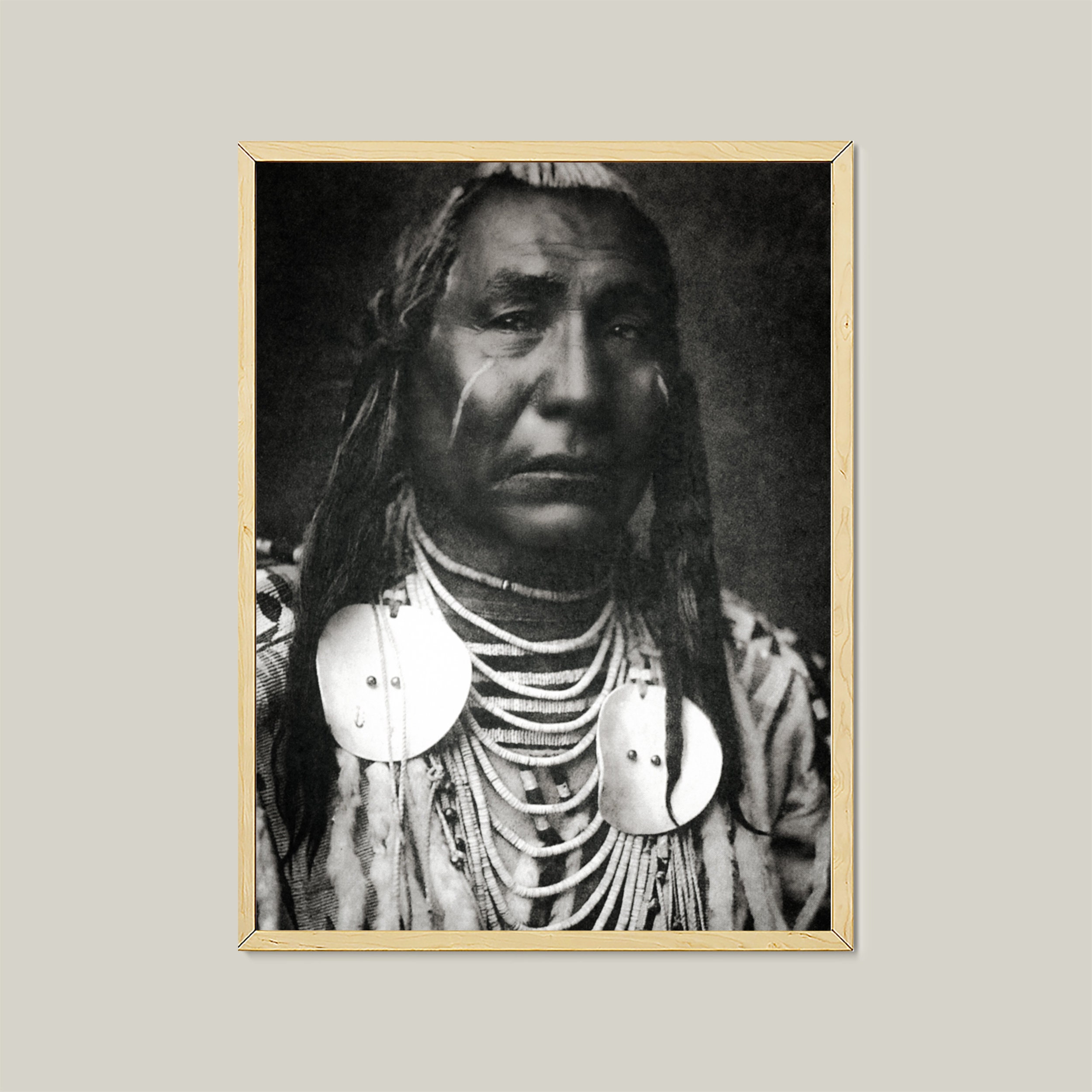 Native American Chief Profile