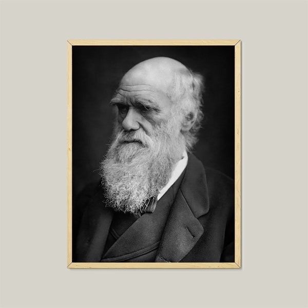 Charles Darwin - Etsy