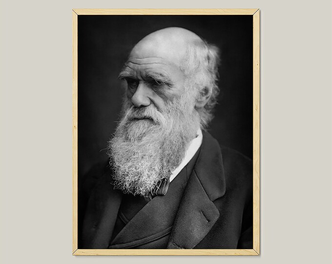 Science Art, Charles Darwin Print, Quote Prints, Literary Prints ...