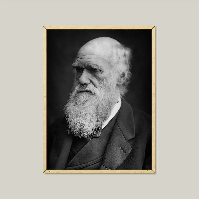 Charles Darwin - Etsy