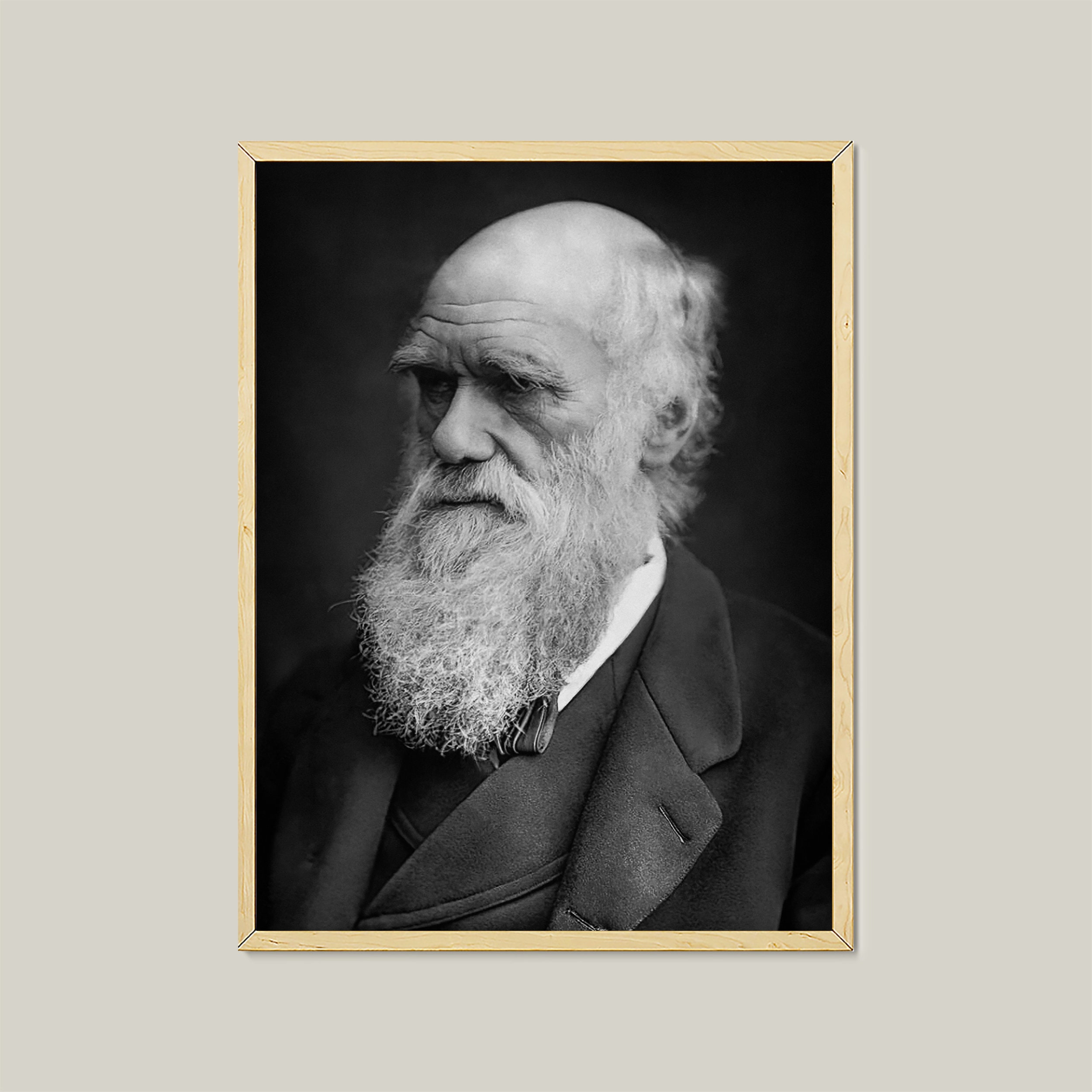 Charles Darwin Poster Print-darwin Art-charles Darwin Wall Art Decor ...