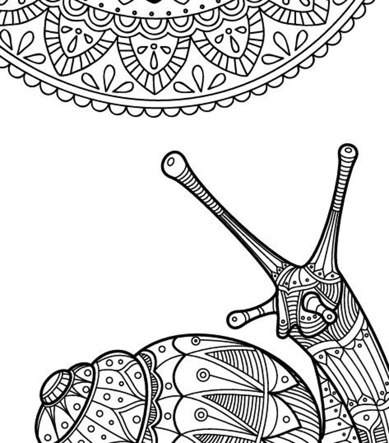 Mandala Animal PDF Coloring Pages - Etsy