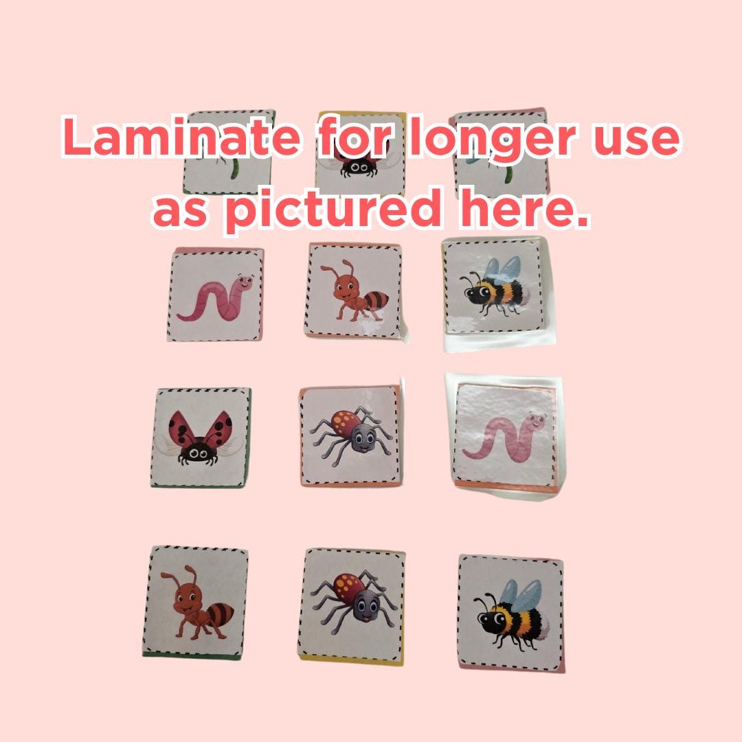Bug Themed Memory Game Printable for Toddlers - Etsy