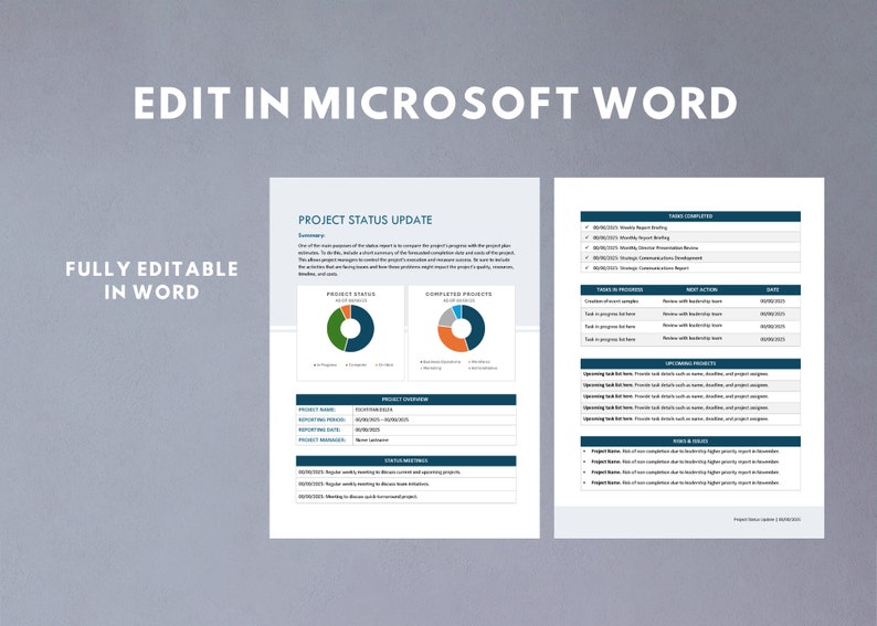 Project Status Report Template: Microsoft Word (U.S. Letter) - Etsy