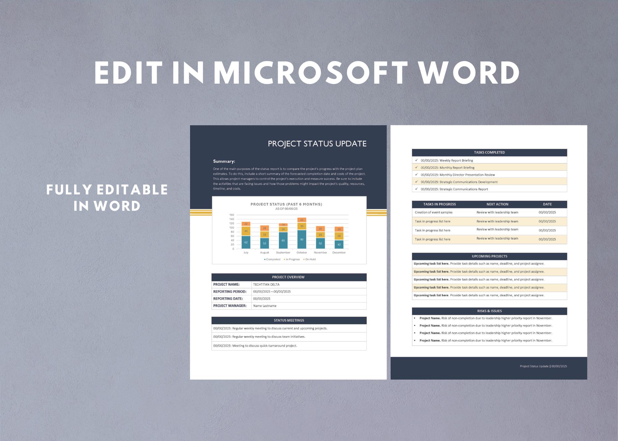 Project Status Report Template: Quarterly Update (microsoft Word) - Etsy