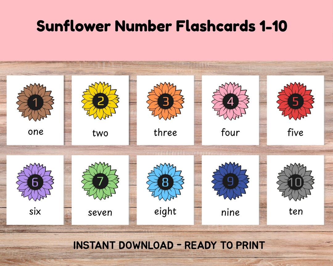 Sunflower Number Flashcards 1-10, Preschool Printable (PDF) - Etsy