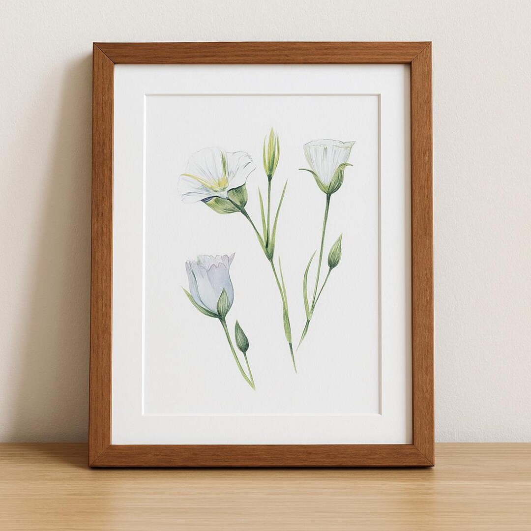Mariposa Lily Print - Etsy