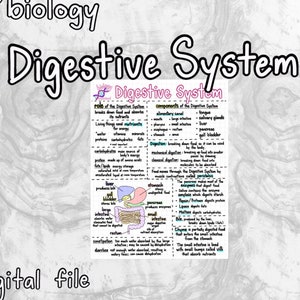 High School Biology Digestive System Study Notes 1 Page cheat Sheet ...