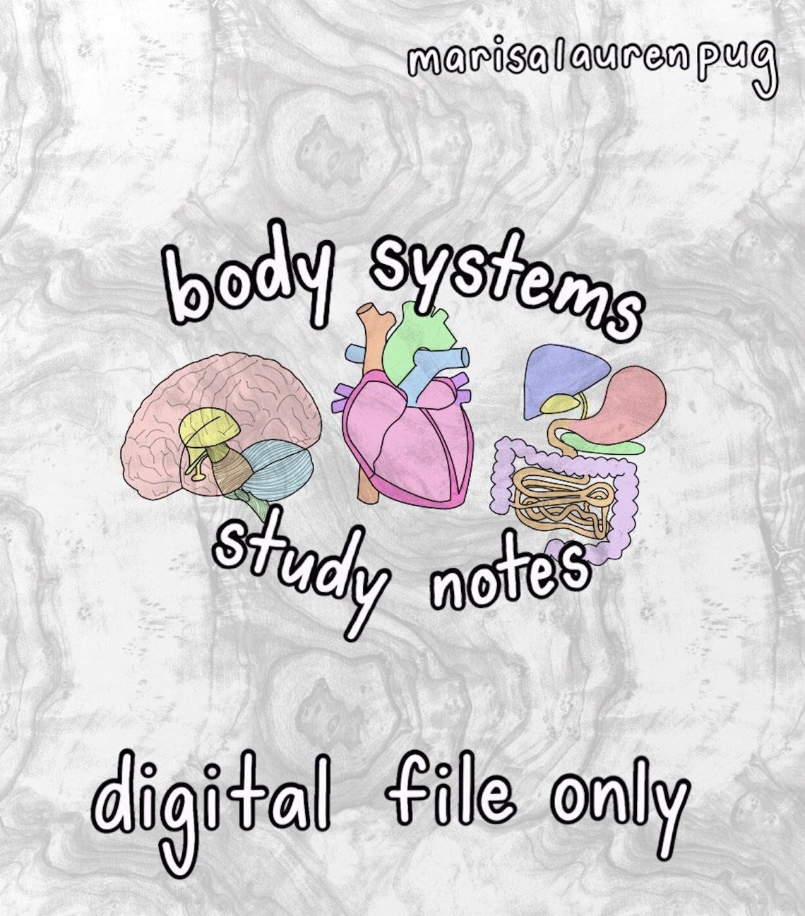 Comprehensive High School Biology Body Systems Study Guide: 7-page ...
