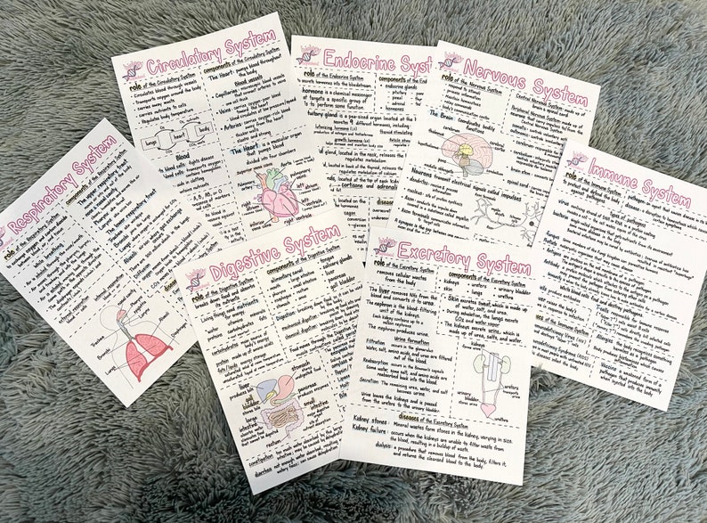 Comprehensive High School Biology Body Systems Study Guide: 7-page ...