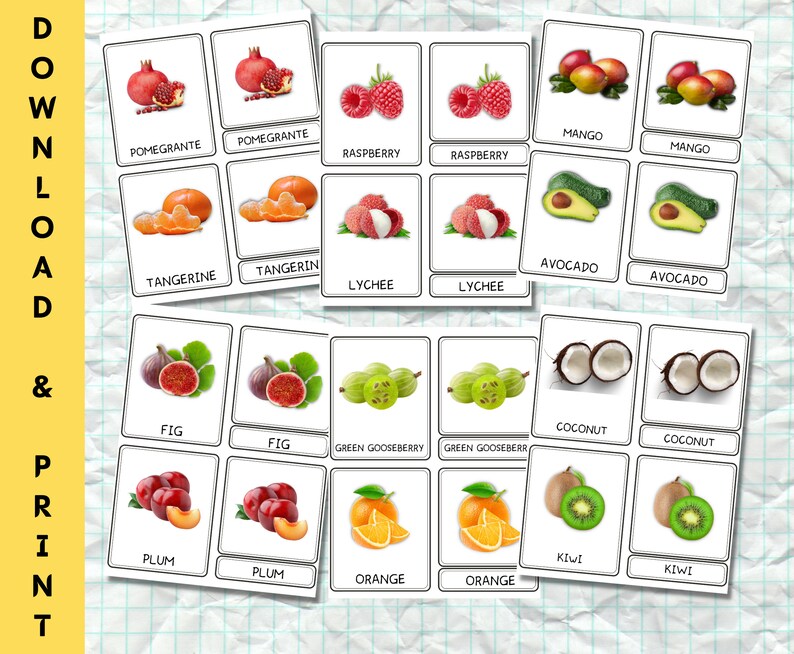 Fruits Flash Cards and Coloring Page Montessori 3 Part Card - Etsy