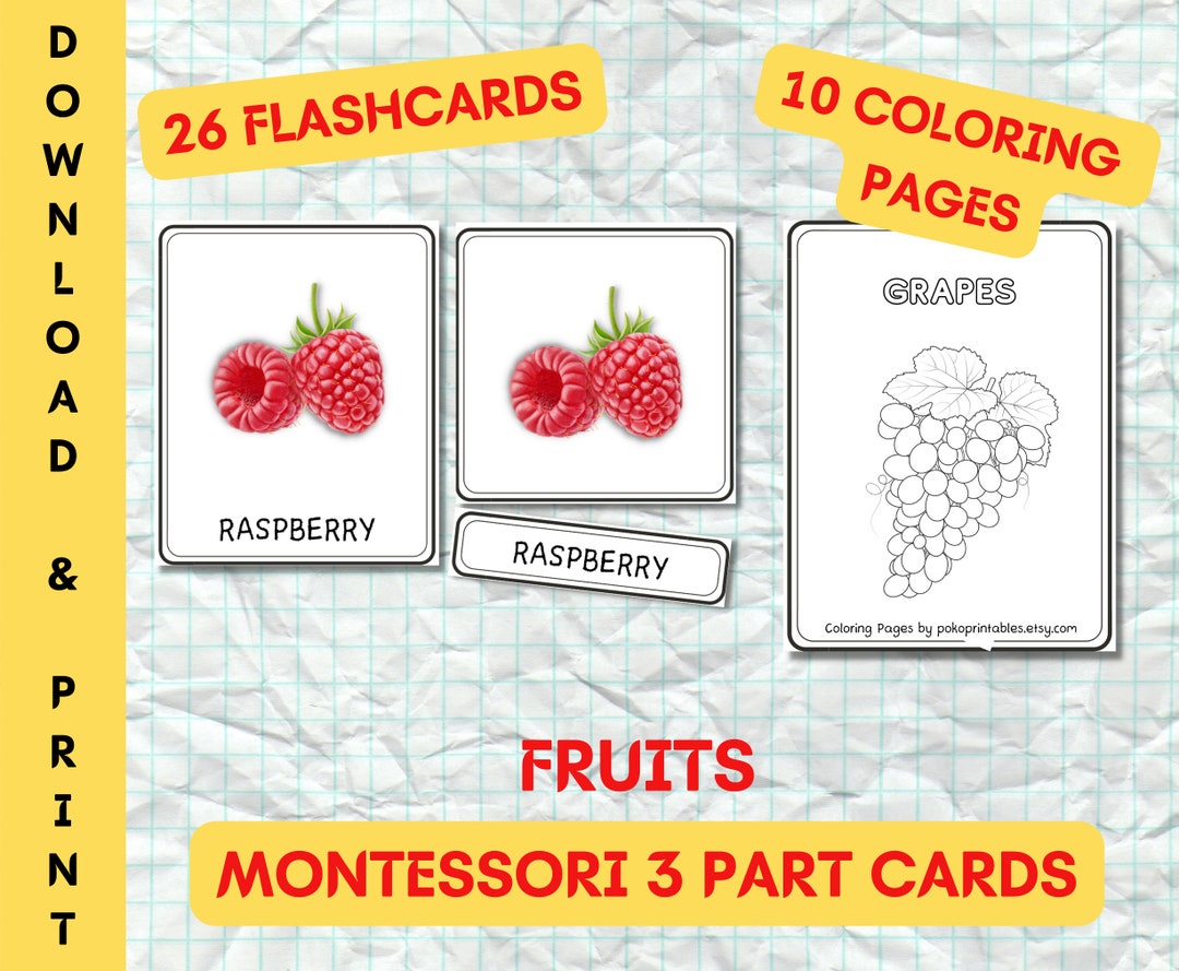 Fruits Flash Cards and Coloring Page Montessori 3 Part Card - Etsy