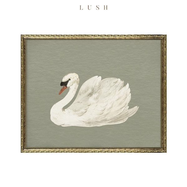 Swan Framed Wall Art - Etsy