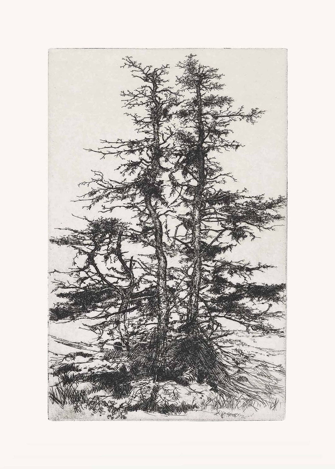Tree Etching Print: Forest Landscape Art (digital Download) - Etsy