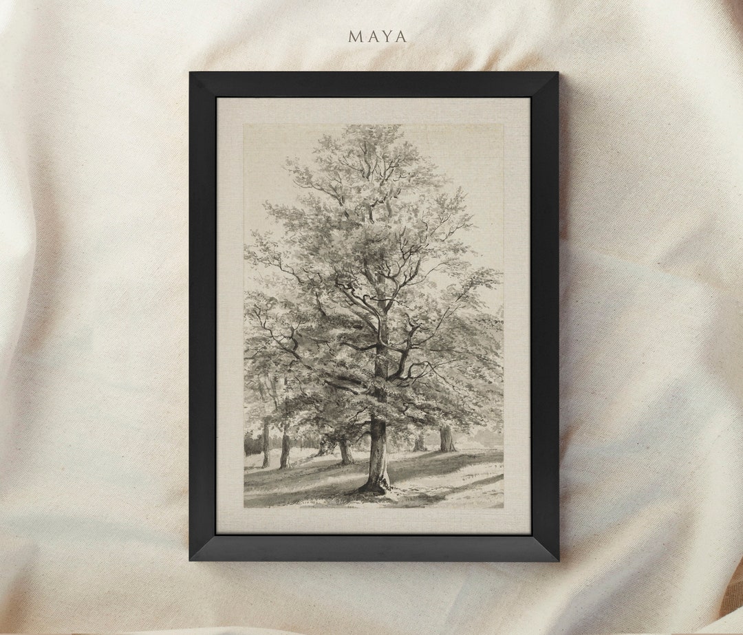 Vintage Art Framed, Vintage Tree Drawing, Landscape Sketch, Farmhouse ...