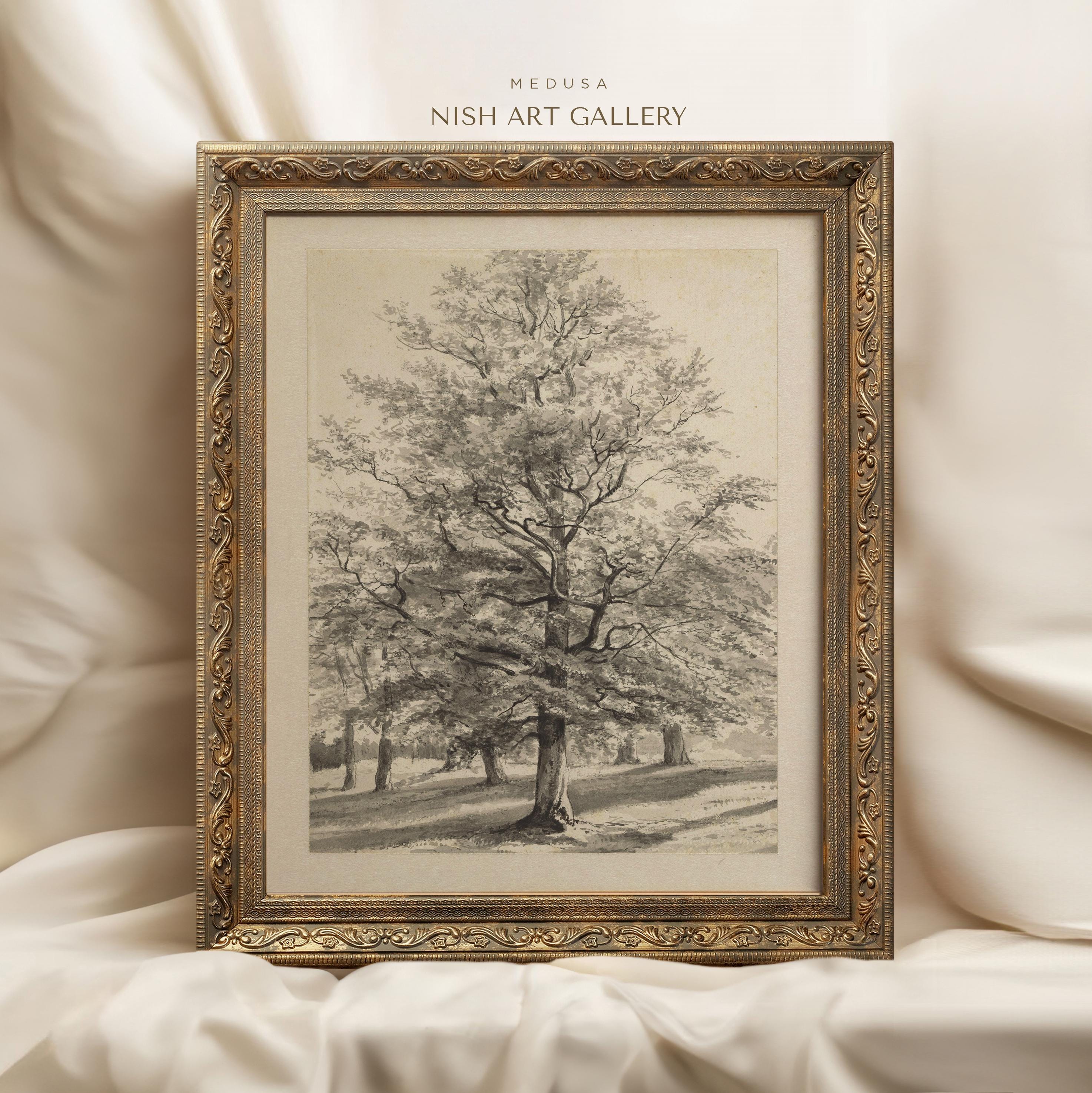 Vintage Tree Sketch: Landscape Drawing in Gold Frame #177 - Etsy