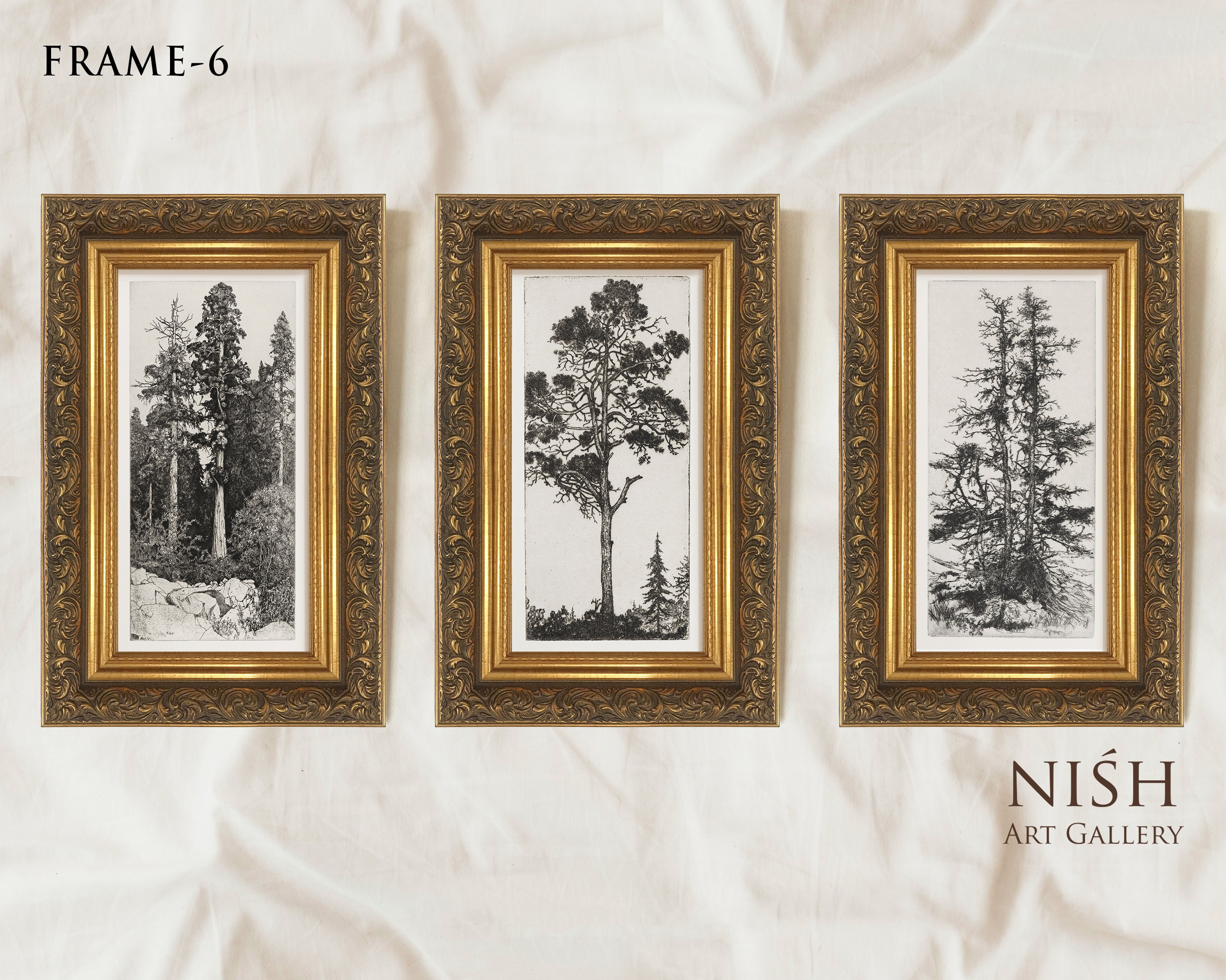 Vintage Art Framed Vintage Tree Wall Print Set of 3 Tree - Etsy