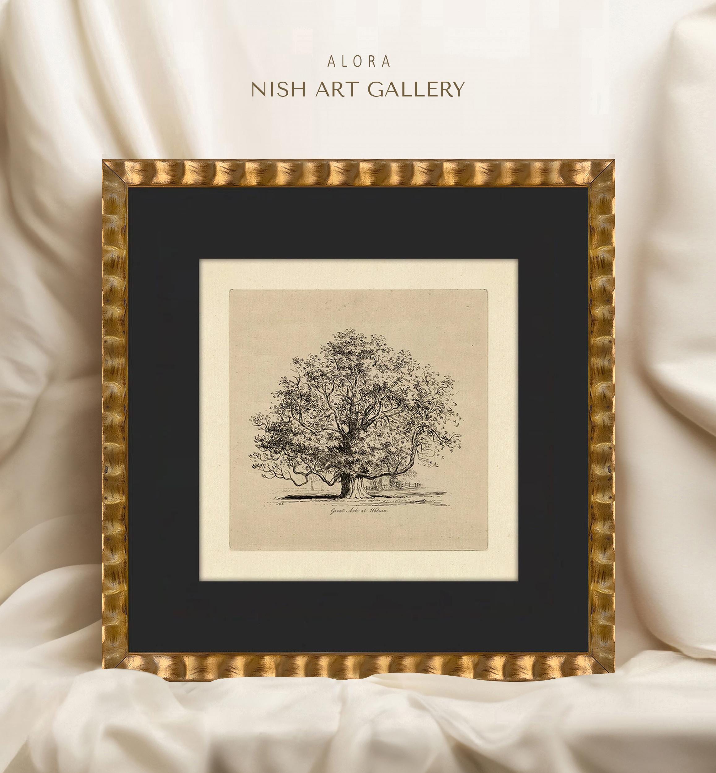 Tree Sketch Art Print: Gold Frame, Black Mat, Vintage Forest Drawing ...
