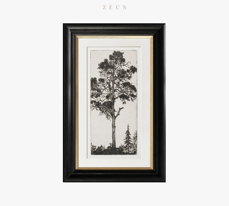 Vintage Tree Etching Print: Framed Gold Finish Wall Art #292 - Etsy