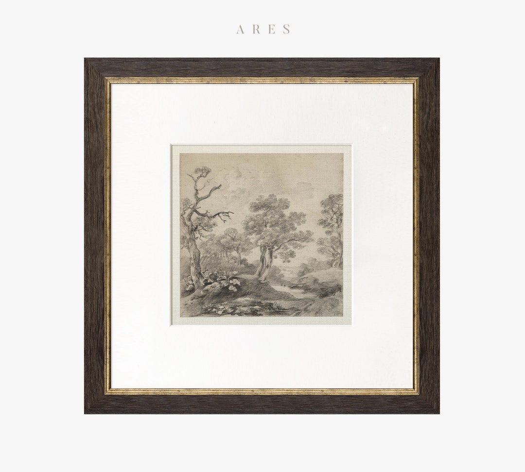 Framed Tree Sketch Art Print: Forest Landscape Drawing, Gold Frame #9 ...