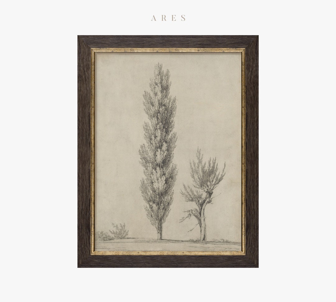 Vintage Art Framed Beige Tree Drawing Print Antique Tree Etching Wall ...