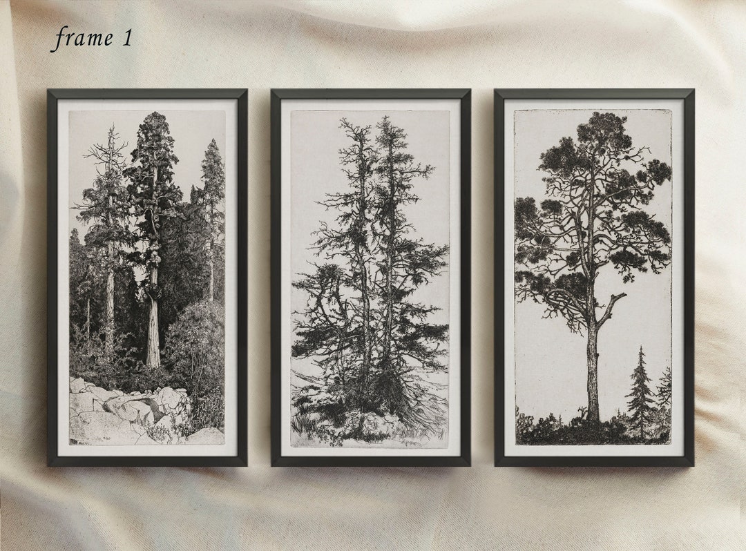 Vintage Art Framed, Vintage Tree Wall Print Set of 3, Tree Drawing ...