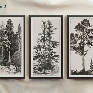 Vintage Art Framed, Vintage Tree Wall Print Set of 3, Tree Drawing ...