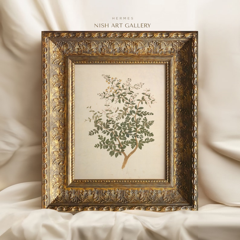 Framed Botanical Print: Vintage Farmhouse Kitchen Decor, Ornate Gold ...