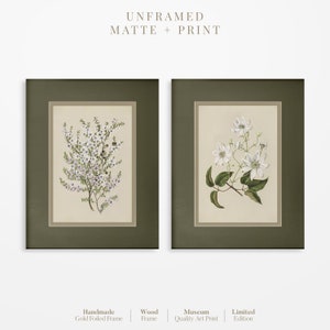 Framed Botanical Art Print Set: Gold Foiled Frame, Floral Wall Decor ...