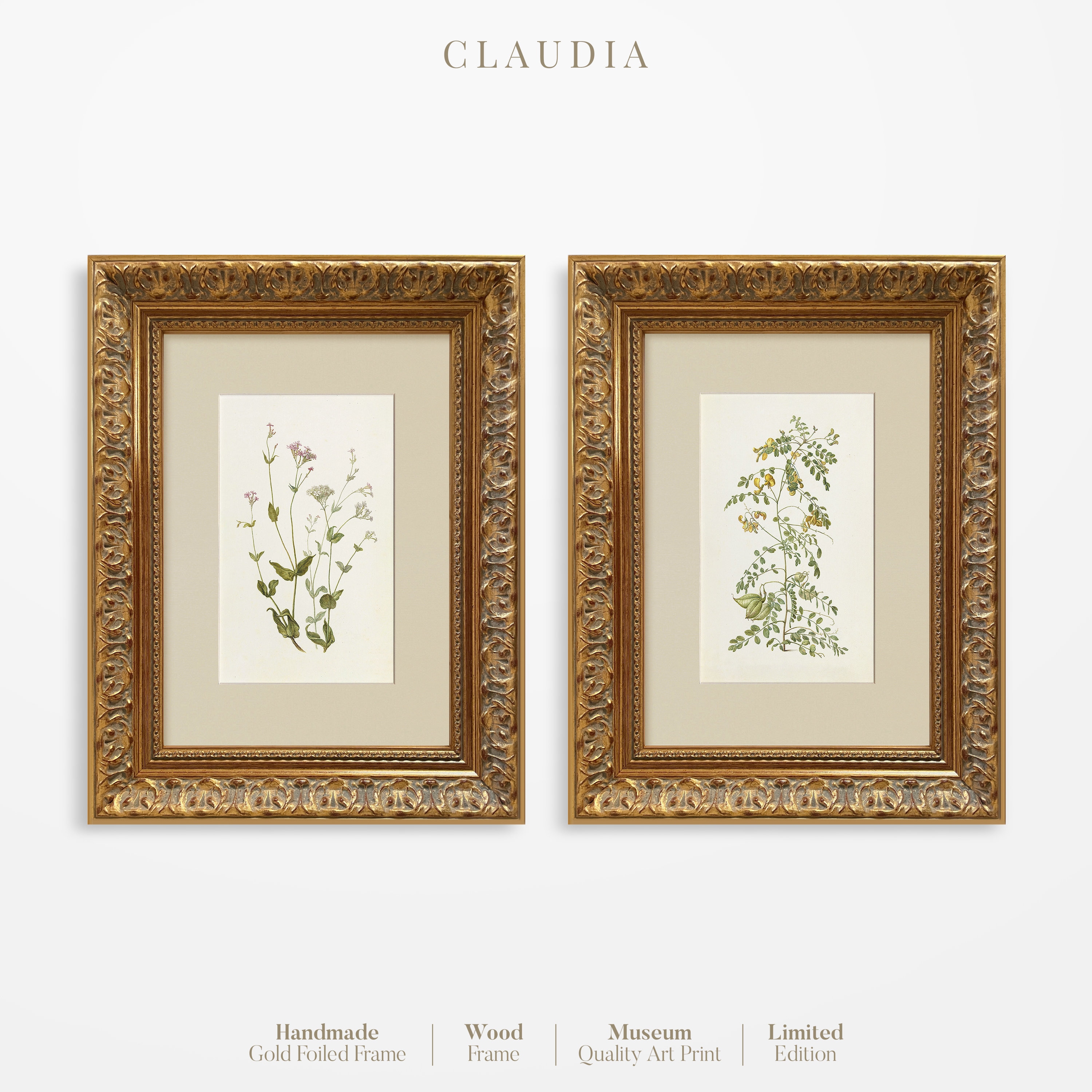 Framed Botanical Prints Set: Gold Wood Frame, Vintage Farmhouse Wall ...