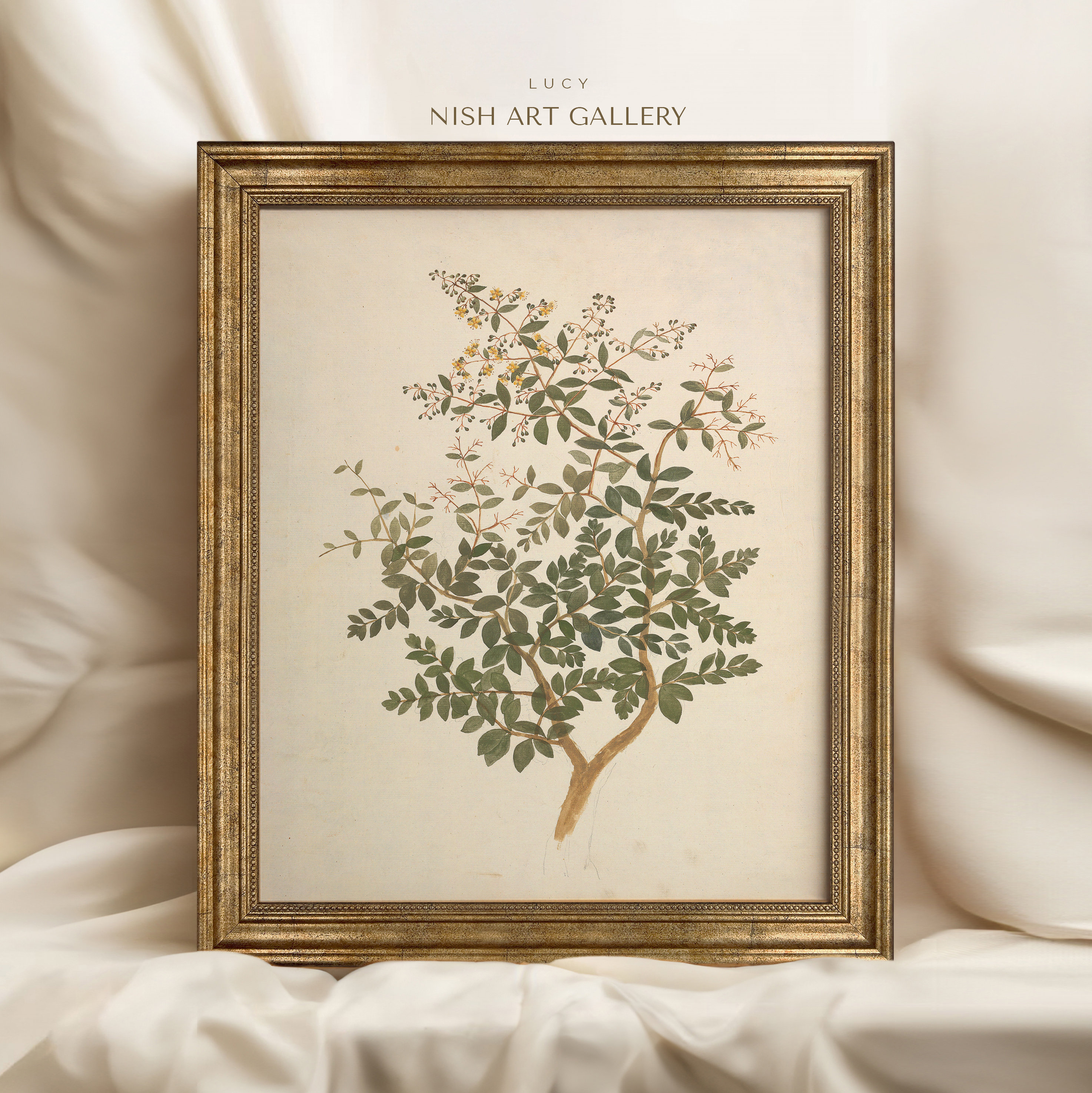 Framed Botanical Print: Vintage Farmhouse Kitchen Decor, Ornate Gold ...