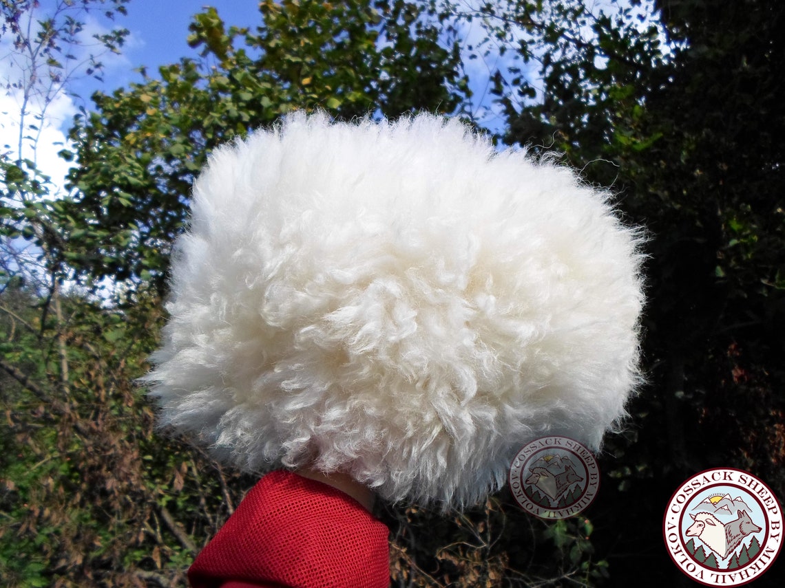 Cossack White Papakha Hat Genuine Sheepskin Russian and Ukrainian ...