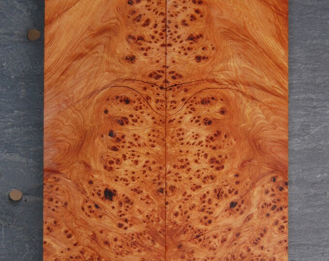 Rare Alligator Juniper Burl Wood Knife Scale Book Match Stabilized - Etsy