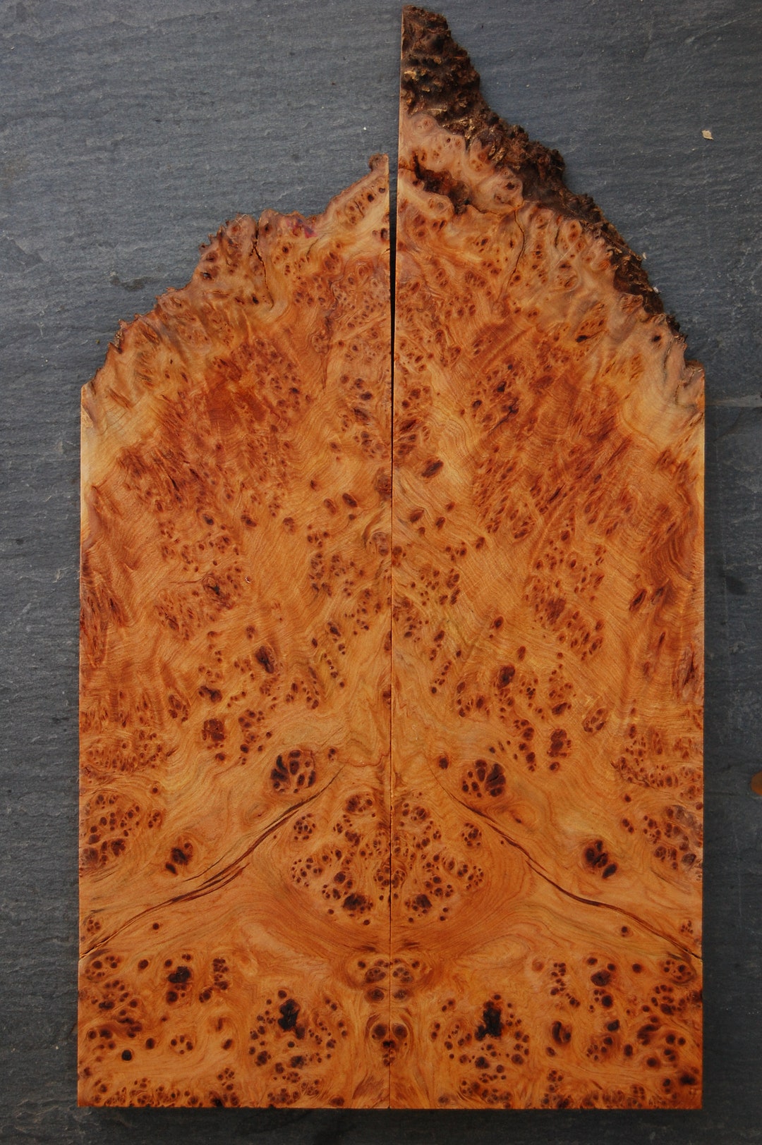 Rare Alligator Juniper Burl Wood Knife Scale Stabilized Block - Etsy