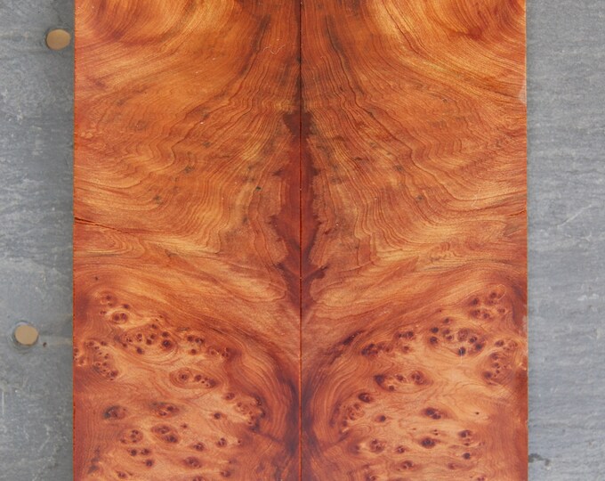 Rare Alligator Juniper Burl Wood Knife Scale Book Match Stabilized - Etsy