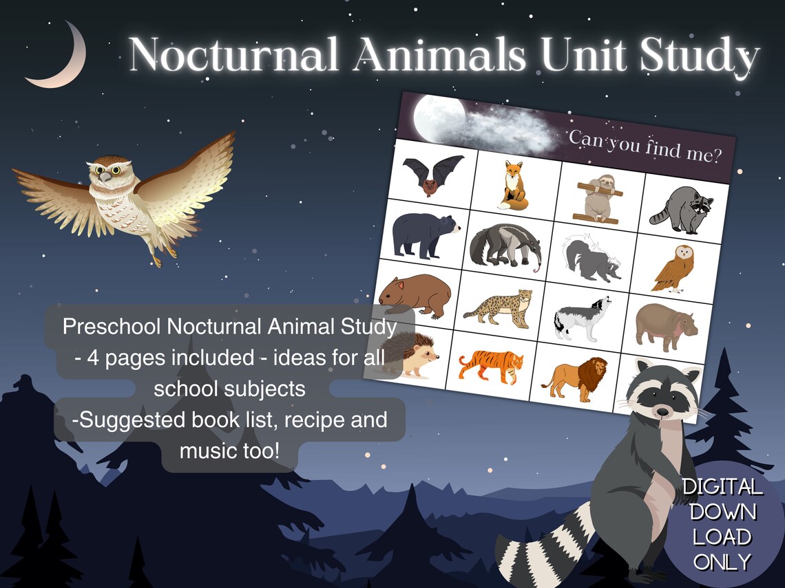 Nocturnal Animal Unit Study | Preschool | Forest Animals | Homeschool ...
