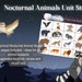 Nocturnal Animal Unit Study | Preschool | Forest Animals | Homeschool ...