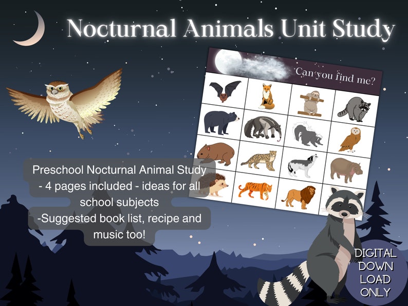 Nocturnal Animal Unit Study | Preschool | Forest Animals | Homeschool ...