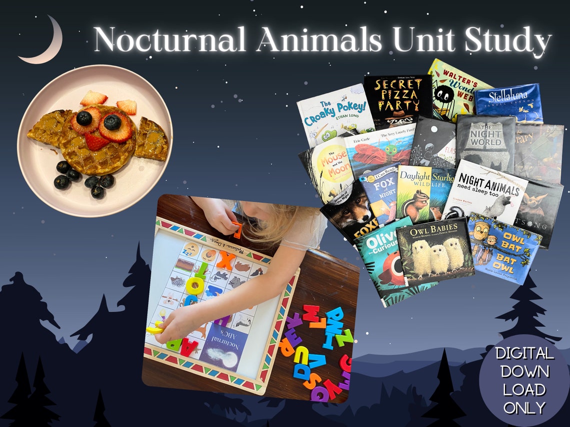 Nocturnal Animal Unit Study | Preschool | Forest Animals | Homeschool ...