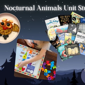 Nocturnal Animal Unit Study Preschool Forest Animals Homeschool ...