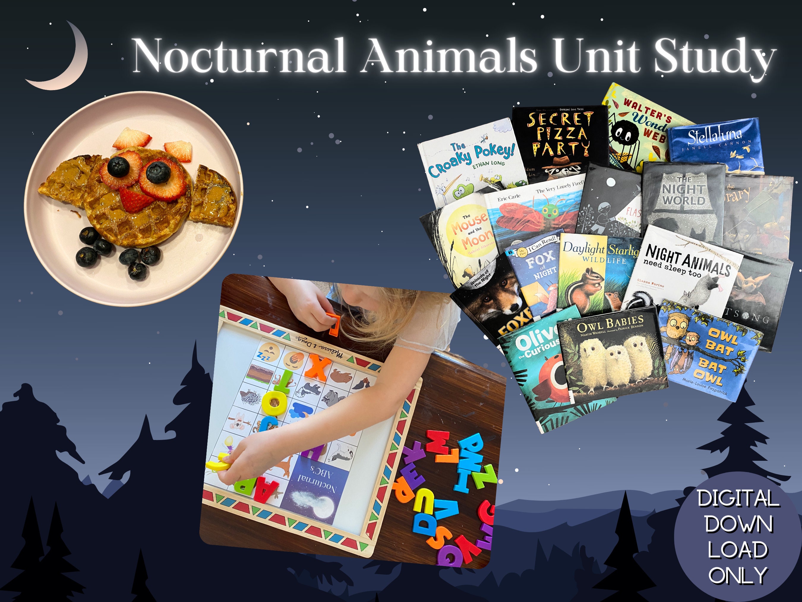 Nocturnal Animal Unit Study | Preschool | Forest Animals | Homeschool ...