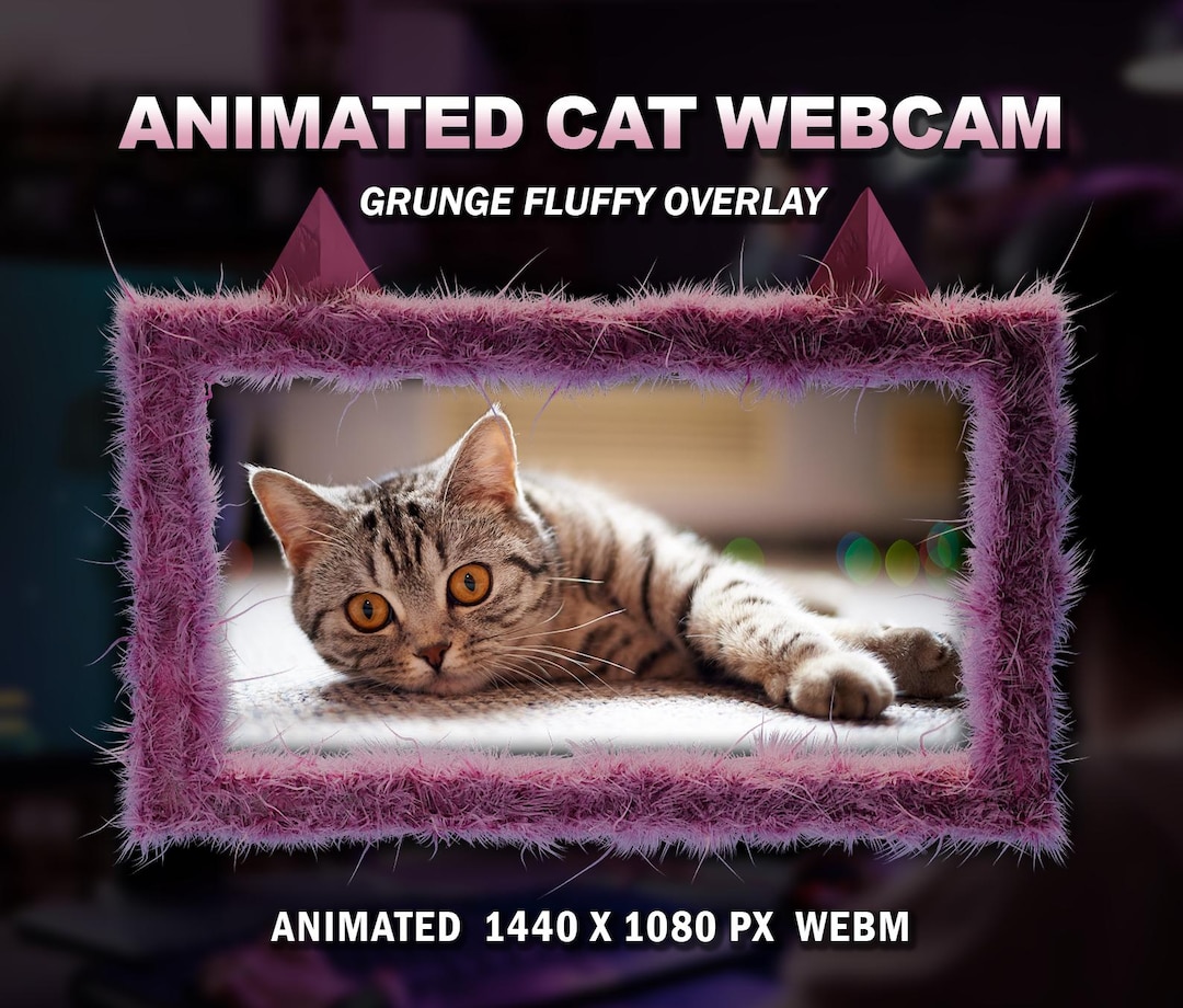 Animated Twitch Cat Fluffy Webcam Overlay / Pet Webcam / Grunge Camera ...